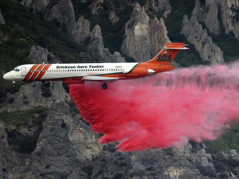 US man ’caused wildfire by burning spider’ - Oz Arab Media
